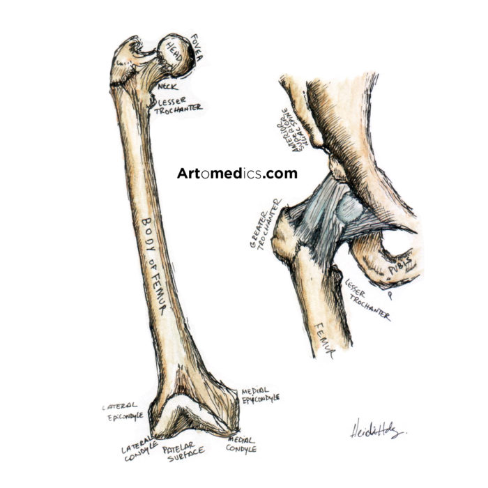 Portfolio - Artomedics Studio