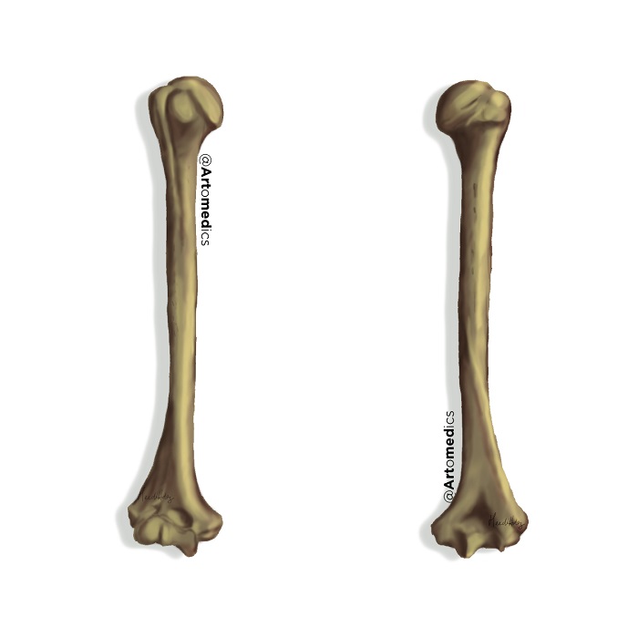 Artomedics – Medical Content solutions by Heidi H, MD.